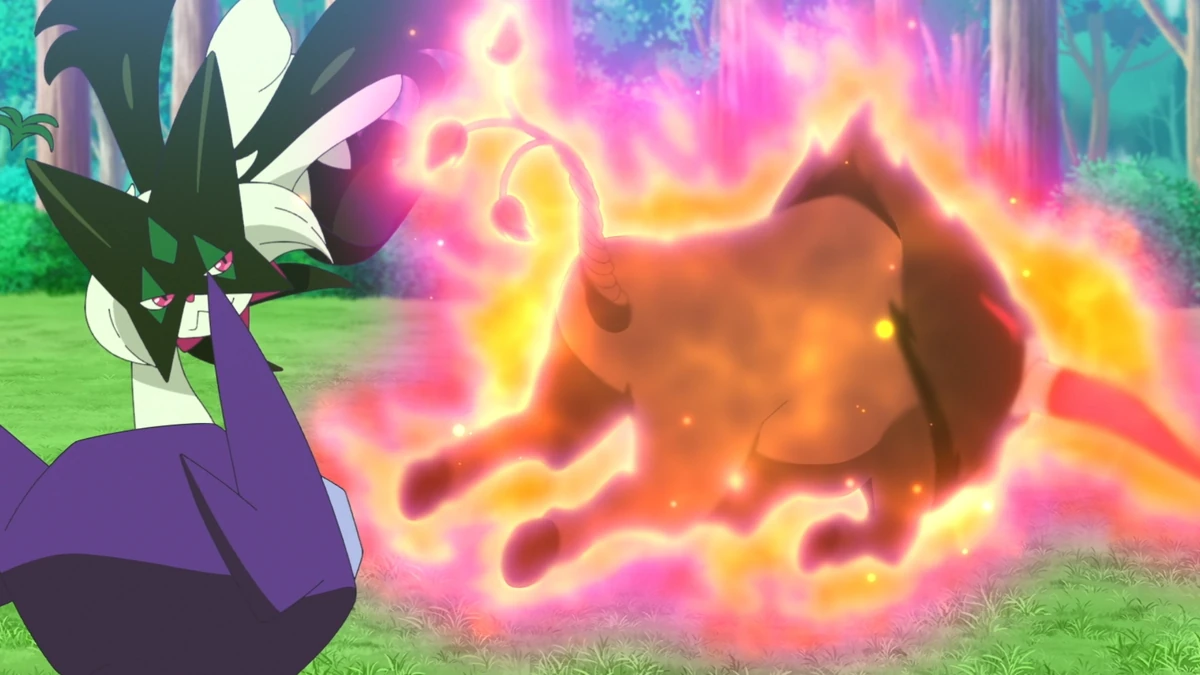 Rubina's Tauros | Pokémon Wiki | Fandom