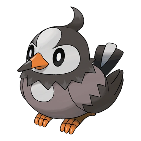 Starly | Pokepèdia | Fandom