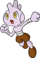 Tyrogue | Pokémon Wiki | Fandom