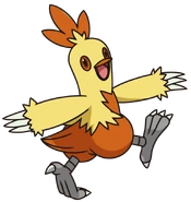 Combusken | Pokémon Wiki | Fandom