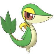 Snivy | Pokémon Wiki | Fandom