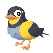 Wattrel | Pokémon Wiki | Fandom