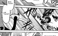 Slash | Pokémon Wiki | Fandom