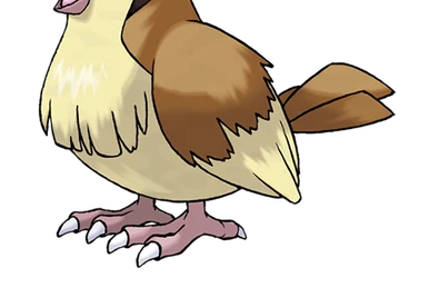 Evoluzione Del Pidgey Pidgey | Project Pokemon Wiki | Fandom