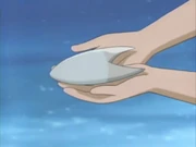 Deep Sea Tooth | Pokémon Wiki | Fandom