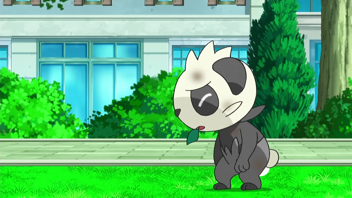 Myron's Pancham | Pokémon Wiki | Fandom