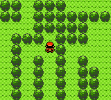 Route 2 (Kanto) | Pokémon Wiki | Fandom