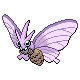 Venomoth | Pokémon Wiki | Fandom