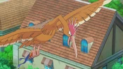 The Tiny Caretaker! | Pokémon Wiki | Fandom