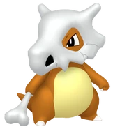 Cubone | Pokémon Wiki | Fandom