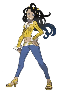 Pokémon Frontier Brains Noland