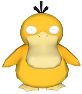 Psyduck | Pokémon Wiki | Fandom