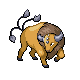 Tauros | Pokémon Wiki | Fandom