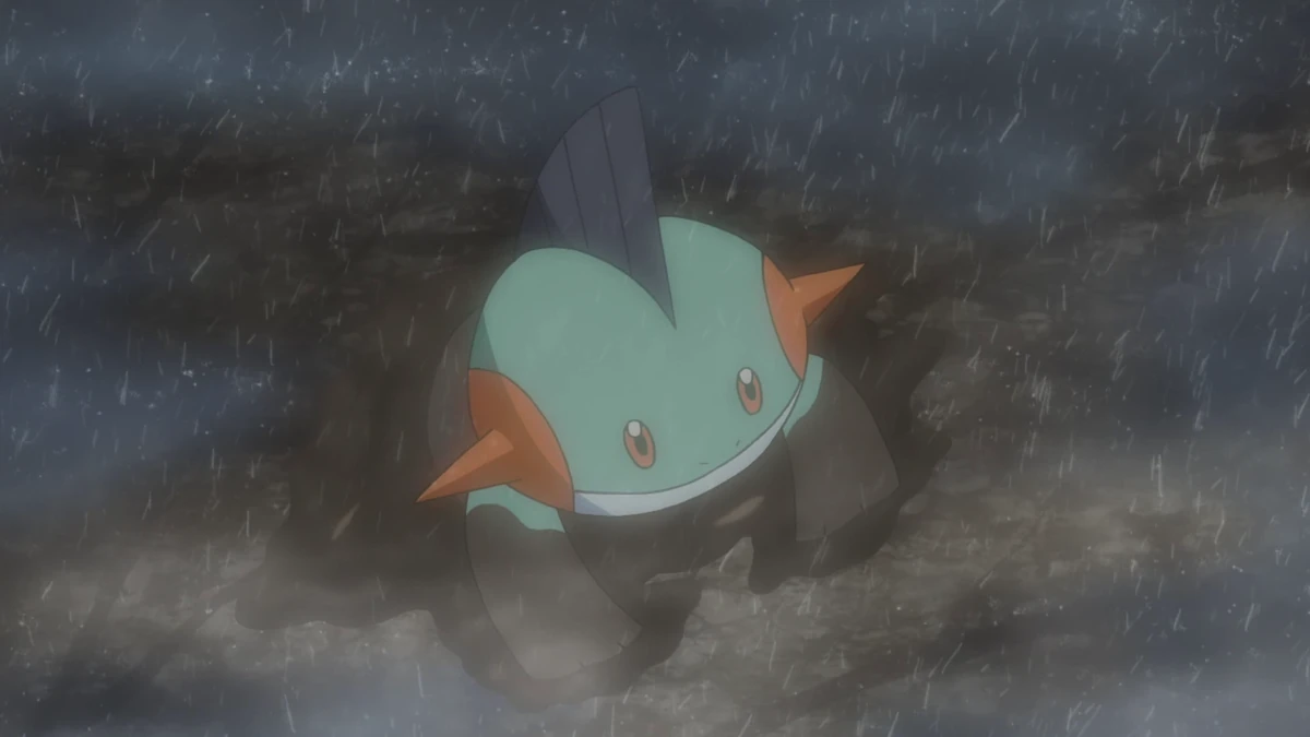 Marshtomp (PJ041) | Pokémon Wiki | Fandom