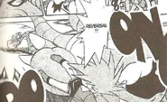 Reversal | Pokémon Wiki | Fandom
