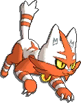 Torracat | Pokémon Wiki | Fandom
