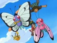 Butterfree (anime) | Pokémon Wiki | Fandom