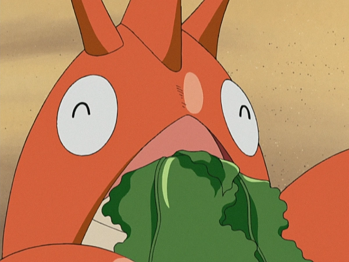 RS024: A Corphish Out of Water!/Gallery | Pokémon Wiki | Fandom
