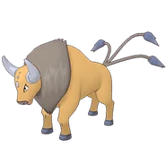 Tauros | Pokémon Wiki | Fandom