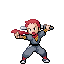 Ninja Boy | Pokémon Wiki | Fandom