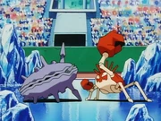 Pokémon League Conference | Pokémon Wiki | Fandom