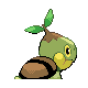 Turtwig | Pokémon Wiki | Fandom