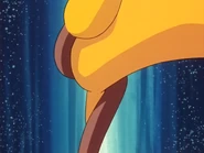 Wrap | Pokémon Wiki | Fandom