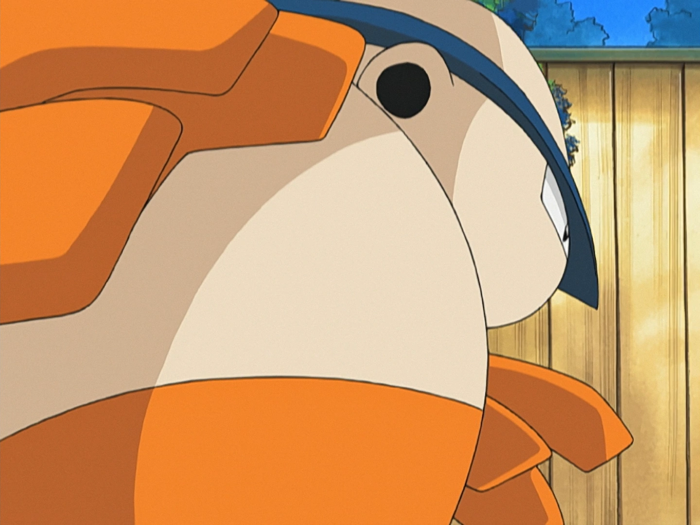 Master Hamm's Hariyama | Pokémon Wiki | Fandom