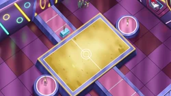 Pokemon Gym Field