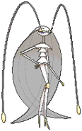Pheromosa | Pokémon Wiki | Fandom