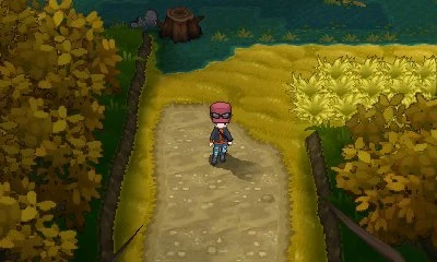 Route 14 (Kalos) | Pokémon Wiki | Fandom