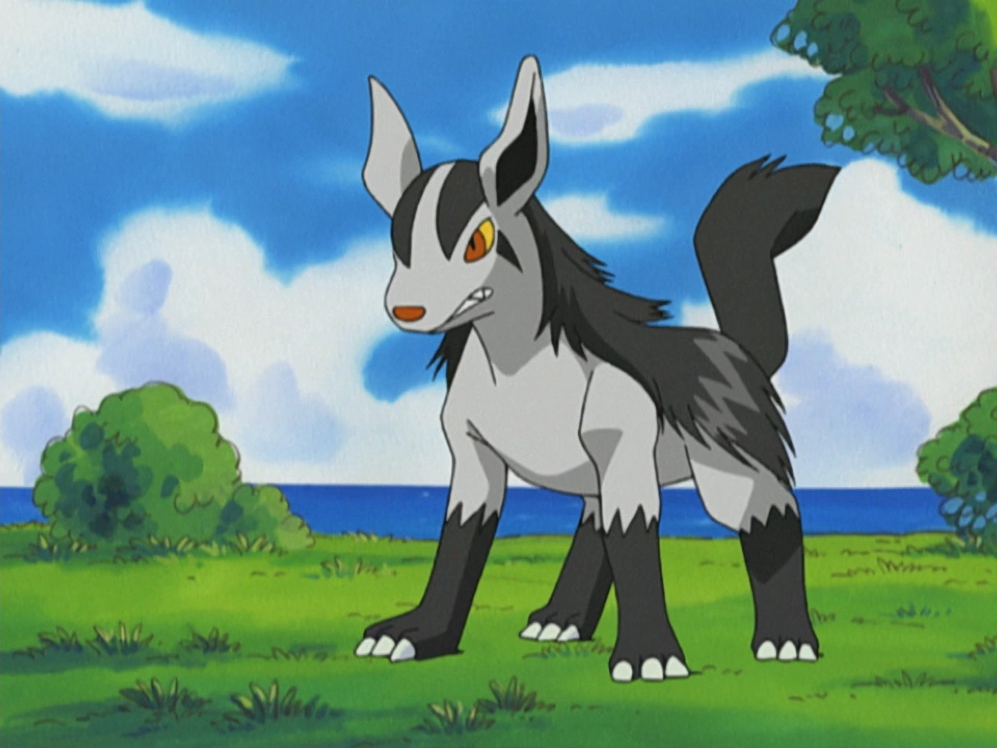 Tabitha's Mightyena | Pokémon Wiki | Fandom