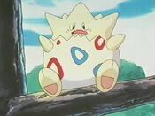 Togetic (anime) | Pokémon Wiki | Fandom