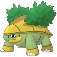 Grotle | Pokémon Wiki | Fandom