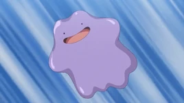 Rising Volt Tacklers' Ditto | Pokémon Wiki | Fandom