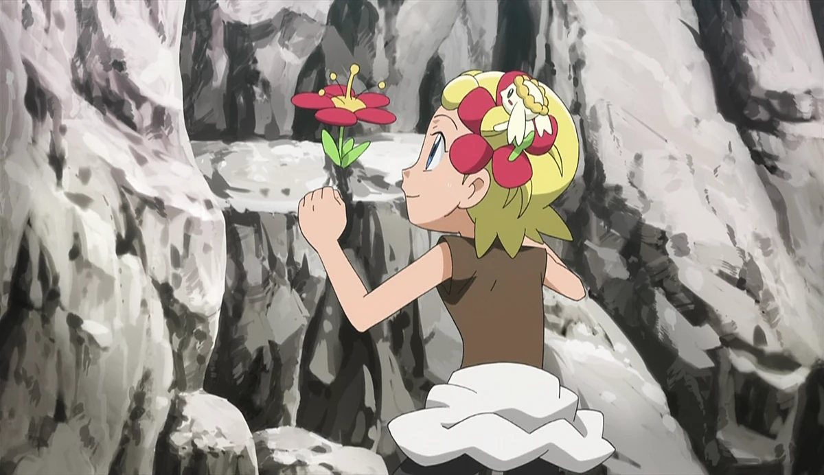 The Bonds of Evolution! | Pokémon Wiki | Fandom