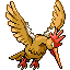 Fearow | Pokémon Wiki | Fandom