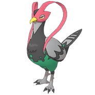 Unfezant | Pokémon Wiki | Fandom