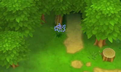 Forest Grotto | Pokémon Wiki | Fandom