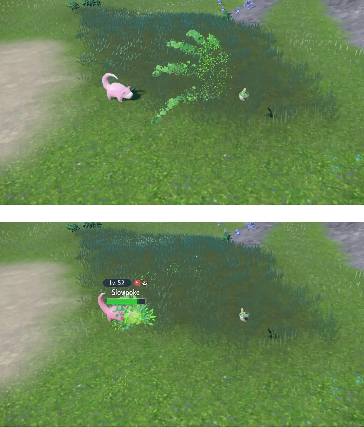 Matcha Gotcha | Pokémon Wiki | Fandom