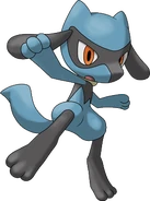 Riolu | Pokémon Wiki | Fandom