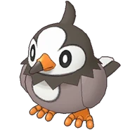 Starly | Pokémon Wiki | Fandom