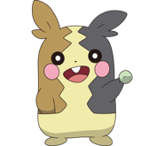 Morpeko | Pokémon Wiki | Fandom