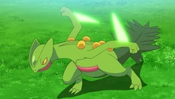 Bug Pokemon Leaf Blade