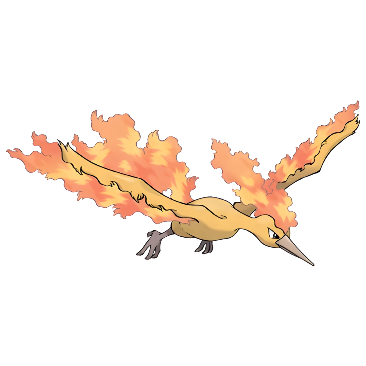 Moltres | Pokémon Wiki | Fandom