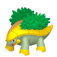 Grotle | Pokémon Wiki | Fandom