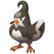 Staravia | Pokémon Wiki | Fandom