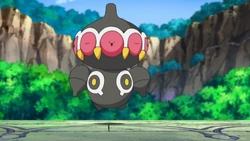 Claydol Evolution Line