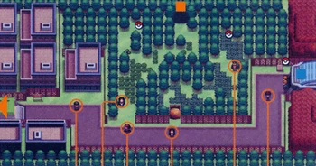 Route 16 (Unova) | Pokémon Wiki | Fandom