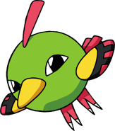 Natu | Pokémon Wiki | Fandom